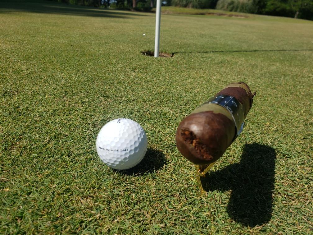 Omega Psi Phi Golf Tool – Team 8791